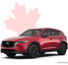 VINBasic™ Vehicle VIN Decoding | DataOne Software